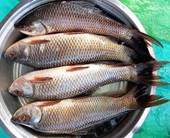 10 Health Benefits of Rohu Fish & Its Nutritional Values