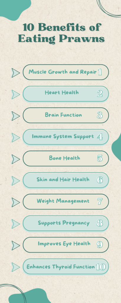 Top 10 Health Benefits of Prawns You Need to Know - Sanshreefoods